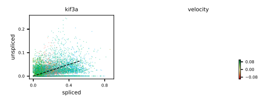 scvelo.pl.velocity without velocity graph for some genes · Issue #425 · theislab/scvelo · GitHub