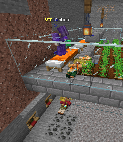 Villagers can smell emeralds even in their sleep · Issue #512 ...