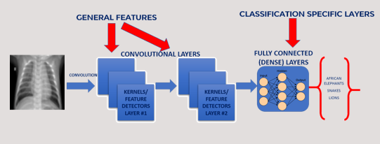 GitHub - jarupulapremkumar/Detect-and-Classifying-chest-disease