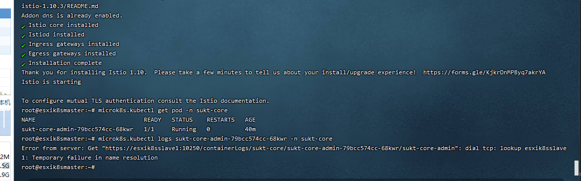 Failed to load logs: Get "https://esxik8sslave1:10250/containerLogs/sukt-core/sukt-core-admin ...