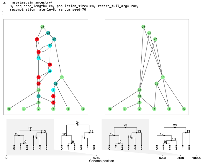 Recombination nodes are optional figure · Issue #17 · tskit-dev/what-is-an-arg-paper · GitHub