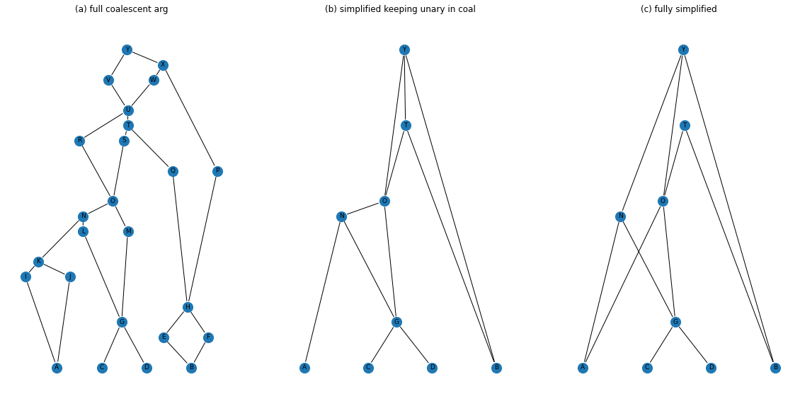 Figure 5 Which Nodes Are Optional In An Edge Annotated Arg · Issue 82 · Tskit Devwhat Is An