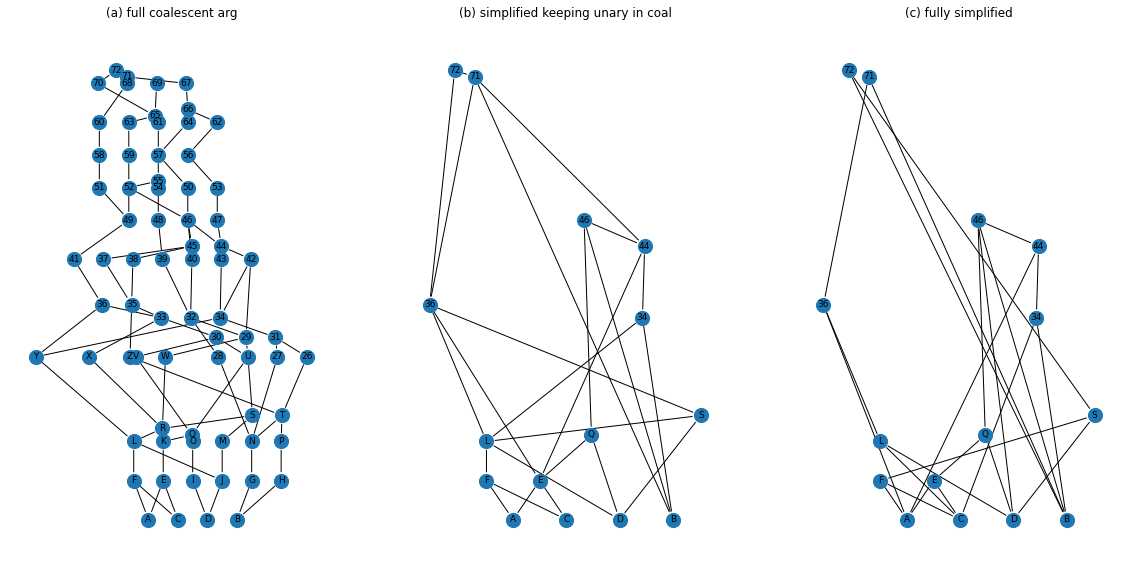 Figure 5 Which Nodes Are Optional In An Edge Annotated Arg · Issue 82 · Tskit Devwhat Is An