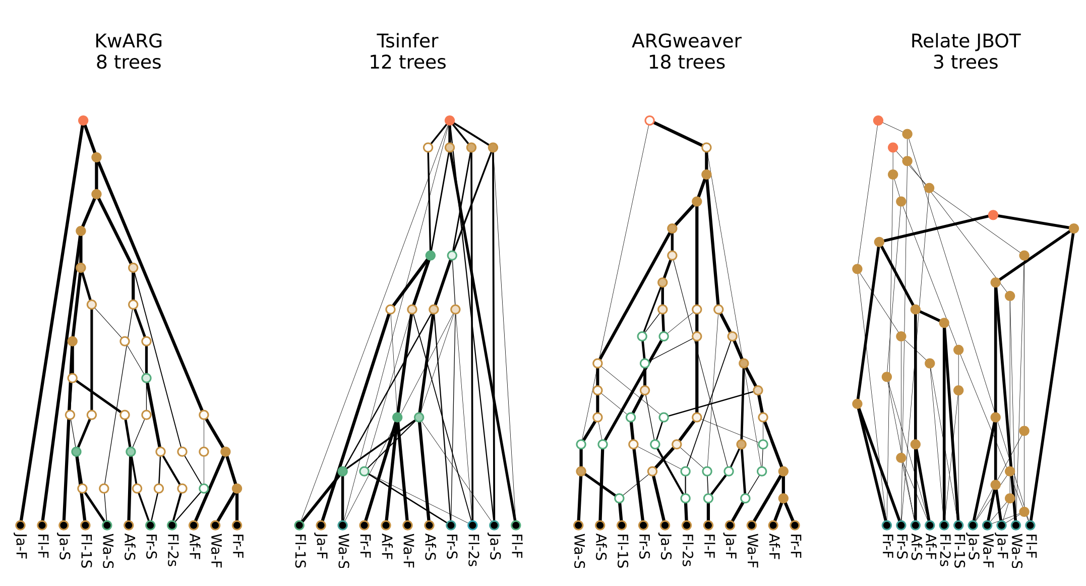 Describe And Improve Node Colouring Scheme Figs 4 And 6 · Issue 180 · Tskit Devwhat Is An