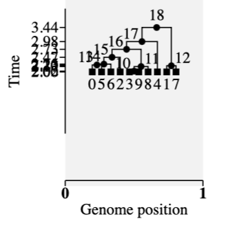 Draw SVG broken for trees with negative node times · Issue #2197 · tskit-dev/tskit · GitHub
