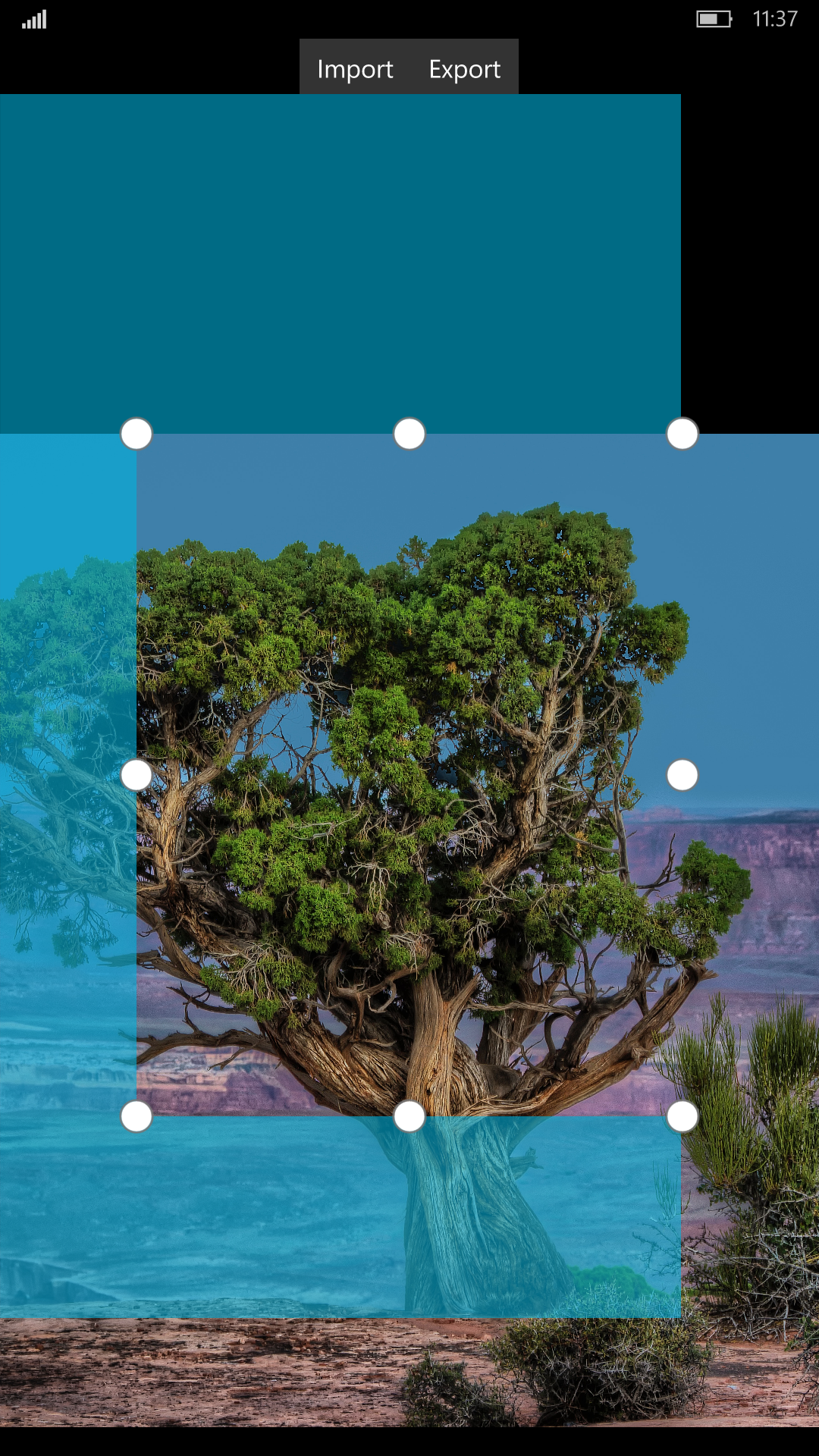 Imagecropper Design Issue · Issue 2971 · Communitytoolkitwindowscommunitytoolkit · Github