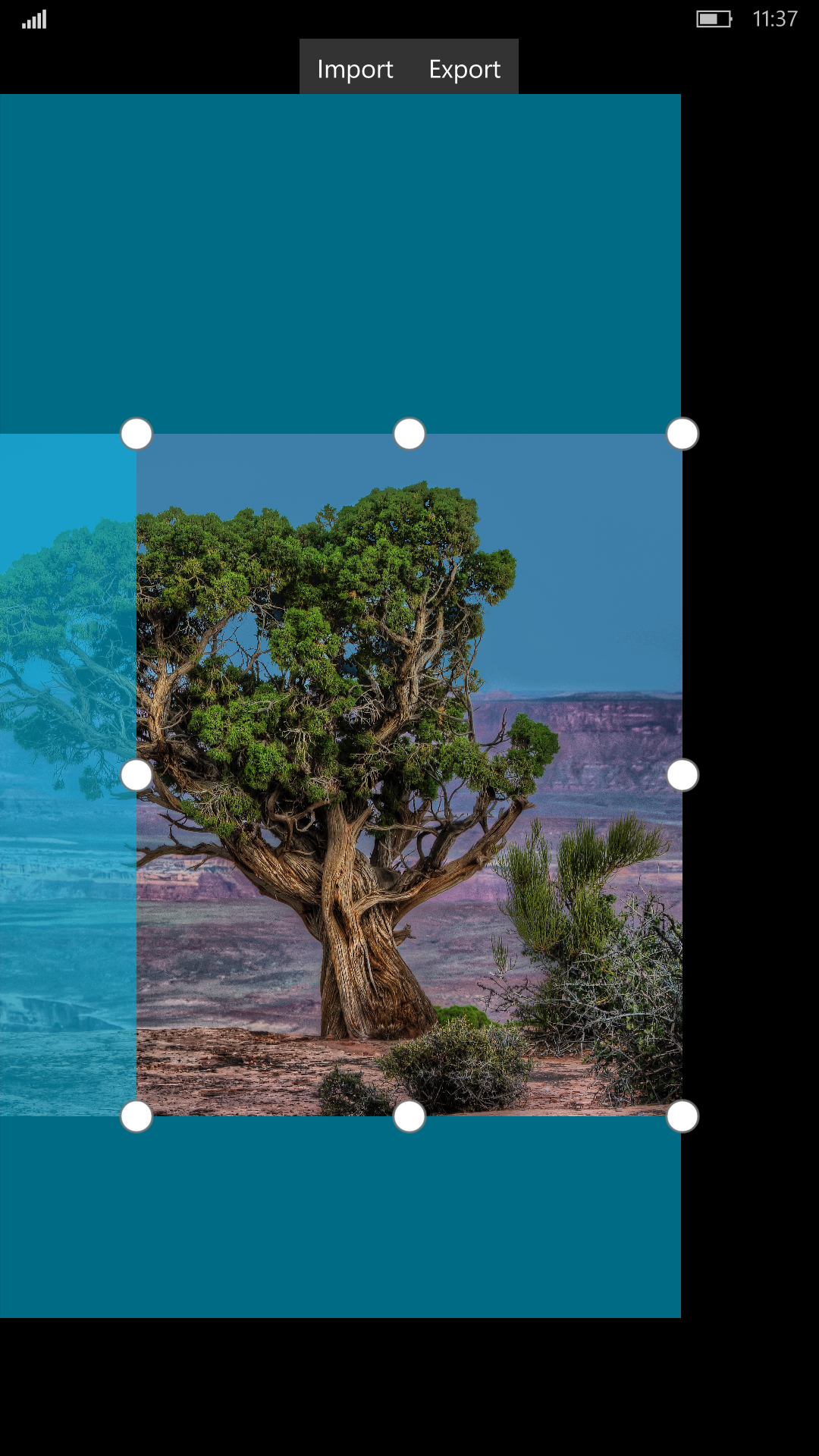 Imagecropper Design Issue · Issue 2971 · Communitytoolkit Windowscommunitytoolkit · Github