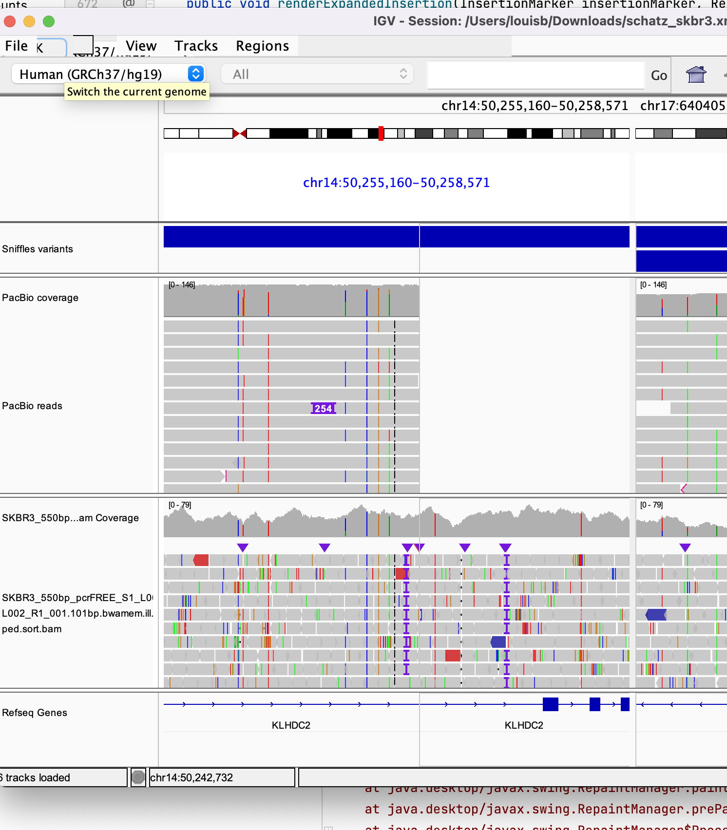 NPE when expanding indels after loading session file · Issue #1252 · igvteam/igv · GitHub