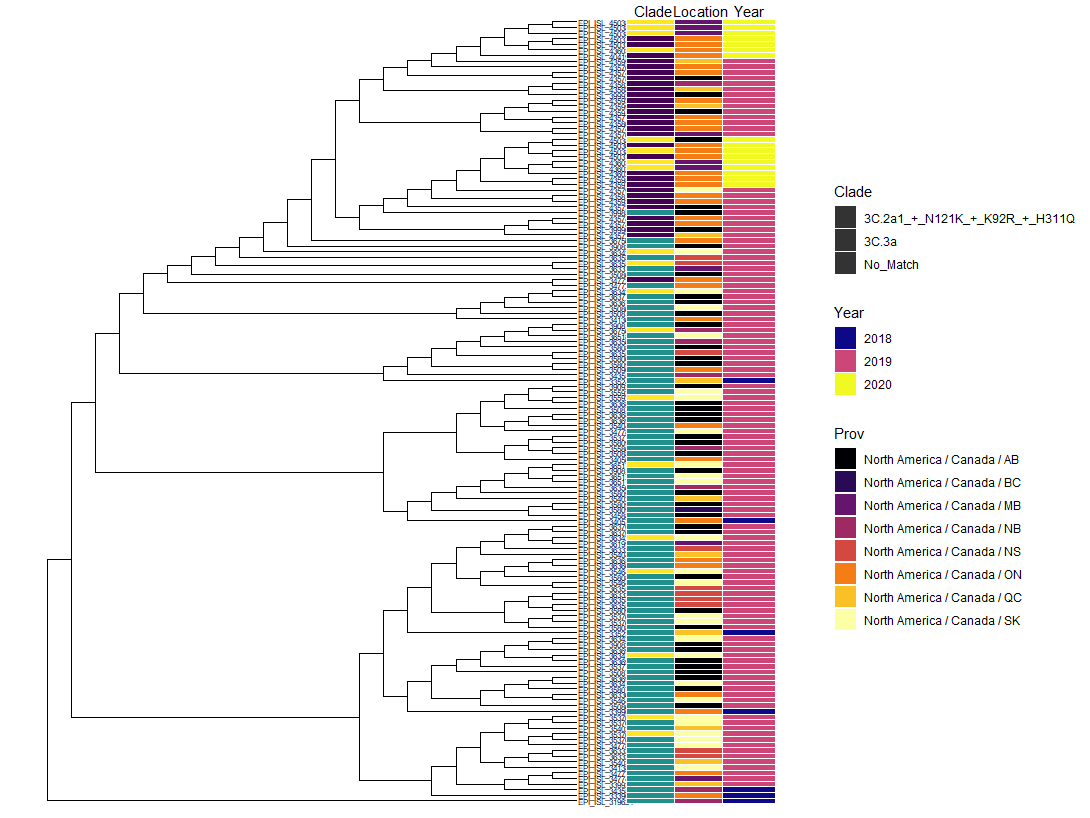 Gheatmap With More Than Two Associated Matrices Legend Issue · Issue 335 · Yulab Smuggtree