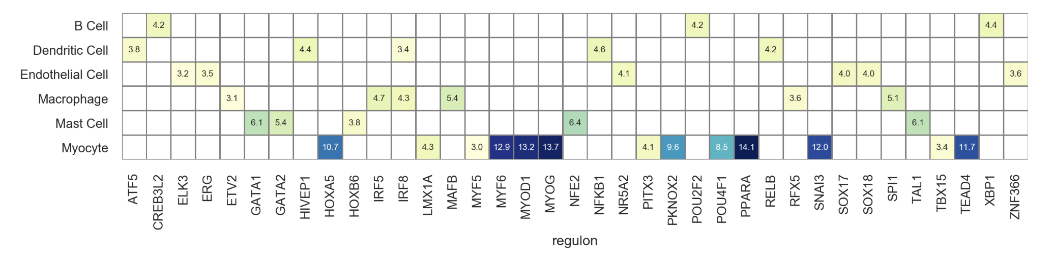 cell type specific regulator analysis: Z-score heatmap · Issue #263 · aertslab/pySCENIC · GitHub
