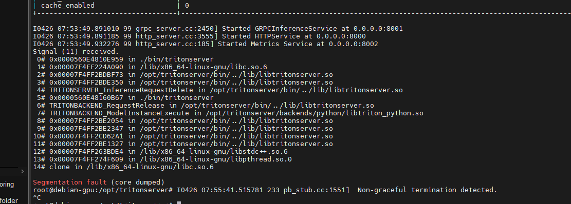 Triton server crashed when requesting deployed Python and ONNX model services · Issue #5702 ...