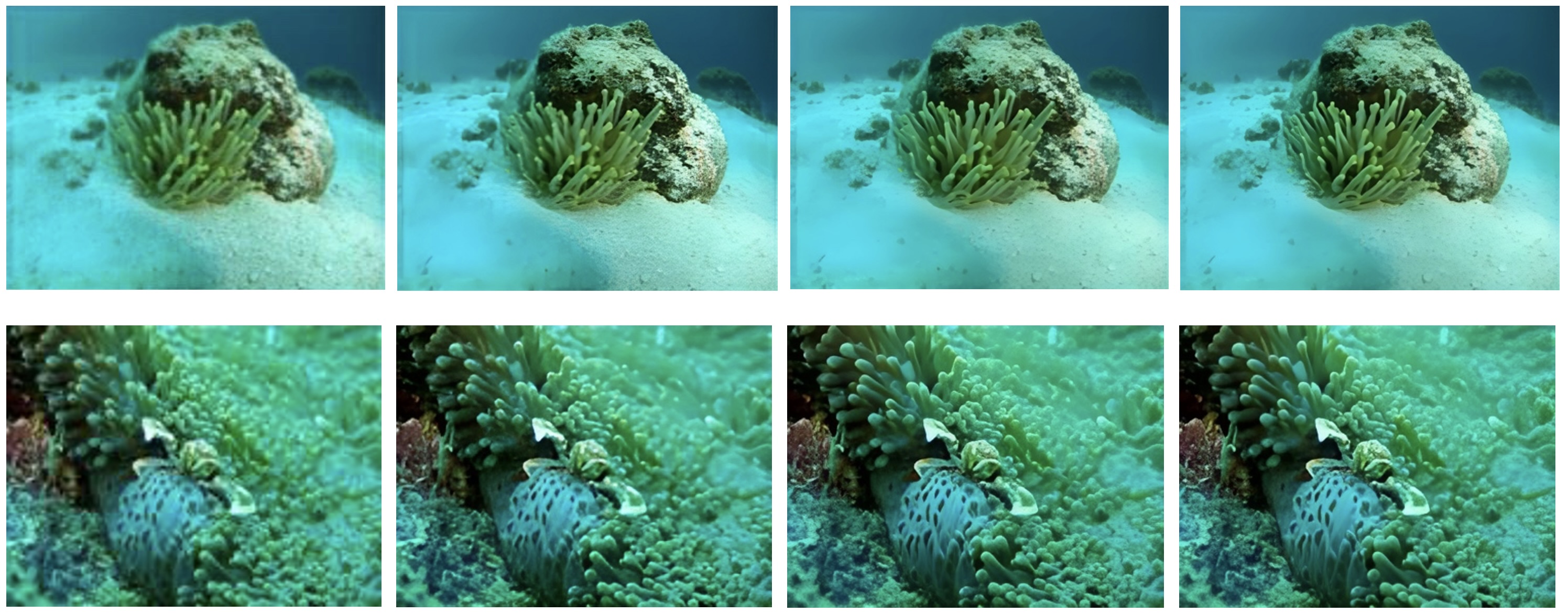 GitHub - alireza-aghelan/underwater-image-super-resolution: Fine-tuned ...