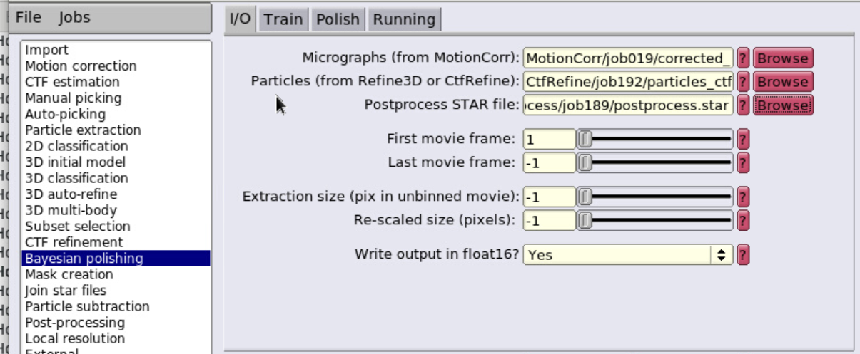 polish error · Issue #946 · 3dem/relion · GitHub