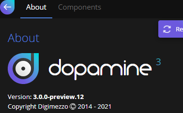 Preview 13 doesn't start on Windows 10 · Issue #289 · digimezzo/dopamine · GitHub