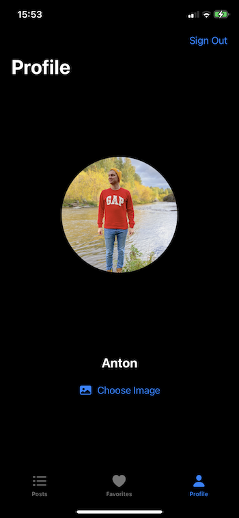 GitHub - Golubeykov/twitter-like-app: Учебное приложение, схожее по своей механике с Twitter ...