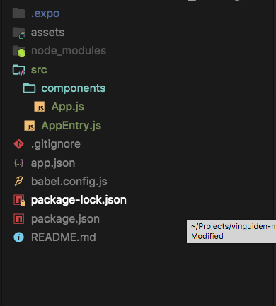 Custom AppEntry not detected. · Issue #3009 · expo/expo · GitHub