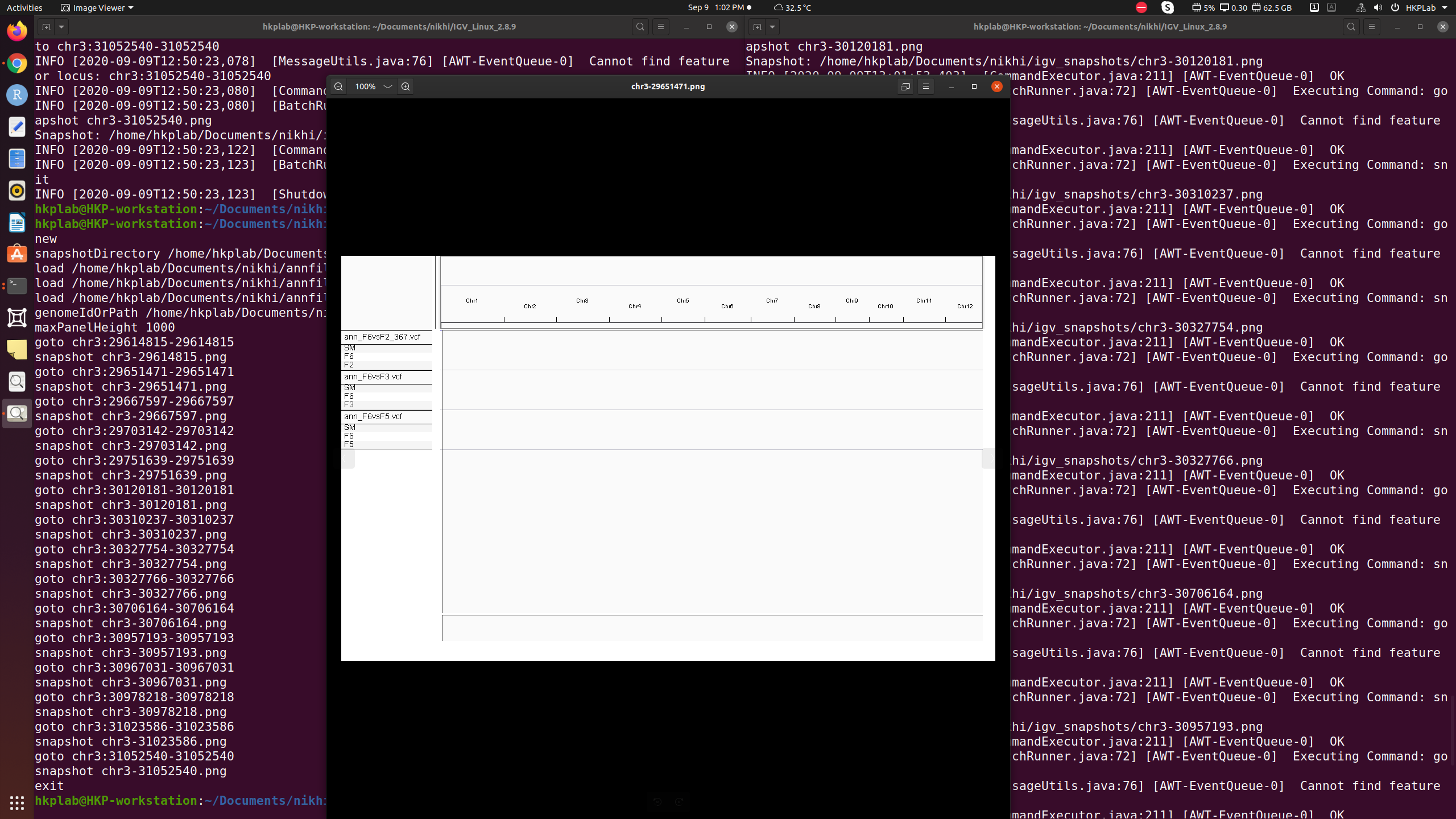 IGV batch script | Screenshots issue · Issue #846 · igvteam/igv · GitHub