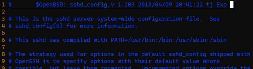 When I Use Vim In Wsl2 In Terminal I Can Not Move The Cursor To The End Of A Line By Using L 6195