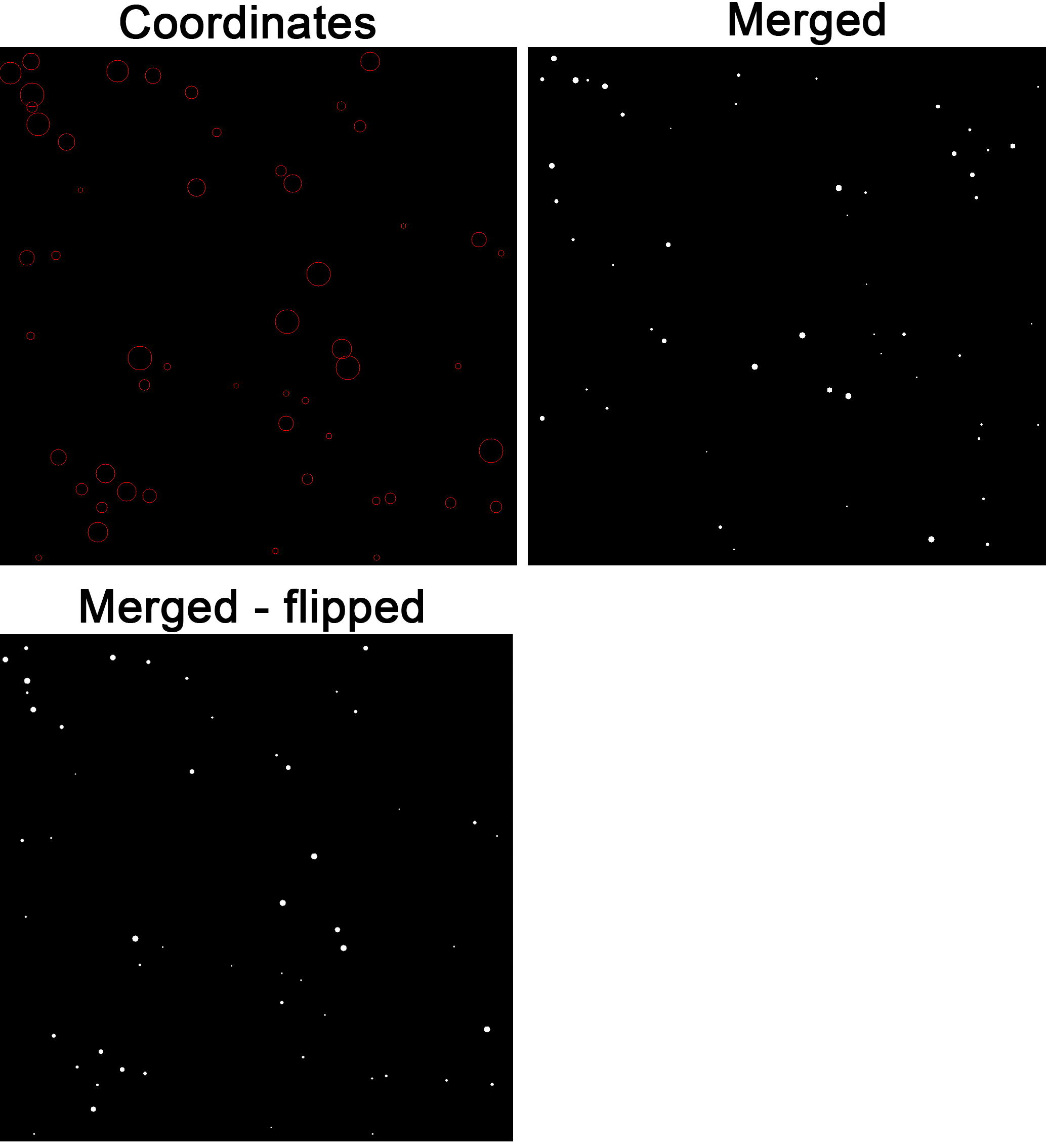 GitHub - sorin-tanasa/Foci-generator-v1.0