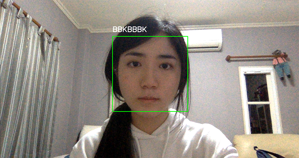 GitHub - bbkbbbk/Identify: Identify is a face detection and recognition program