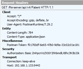 fhirClient with Basic Authentication · Issue #2191 · FirelyTeam/firely-net-sdk · GitHub