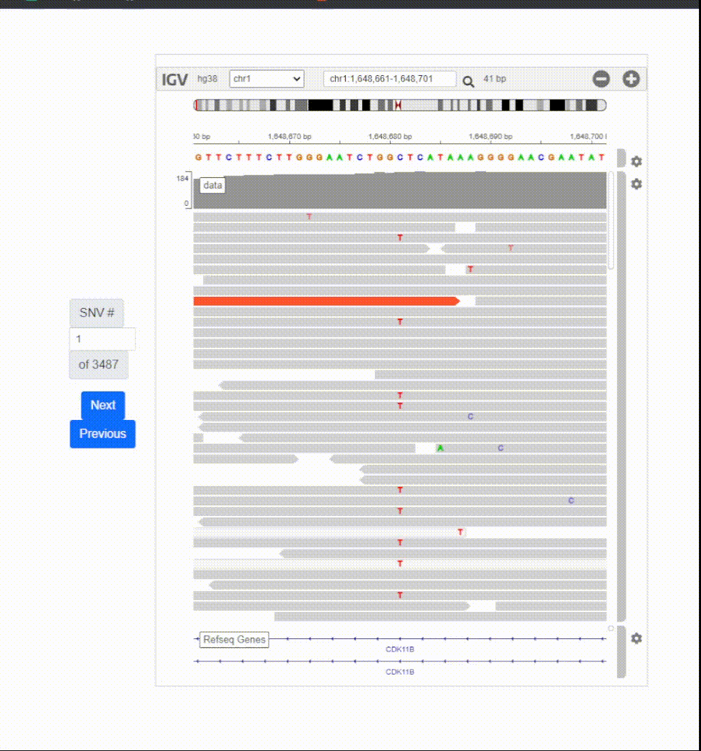 Any way to modify single reads in Alignment Tracks? · Issue #1485 · igvteam/igv.js · GitHub