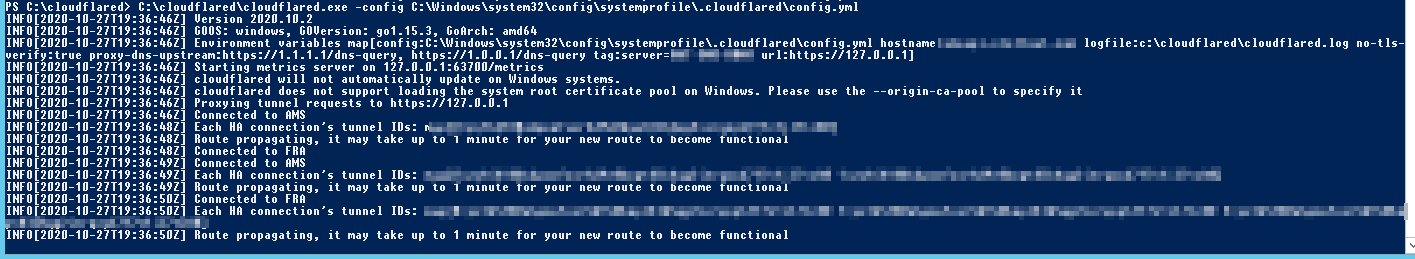 name parameter doesn't work · Issue #248 · cloudflare/cloudflared · GitHub