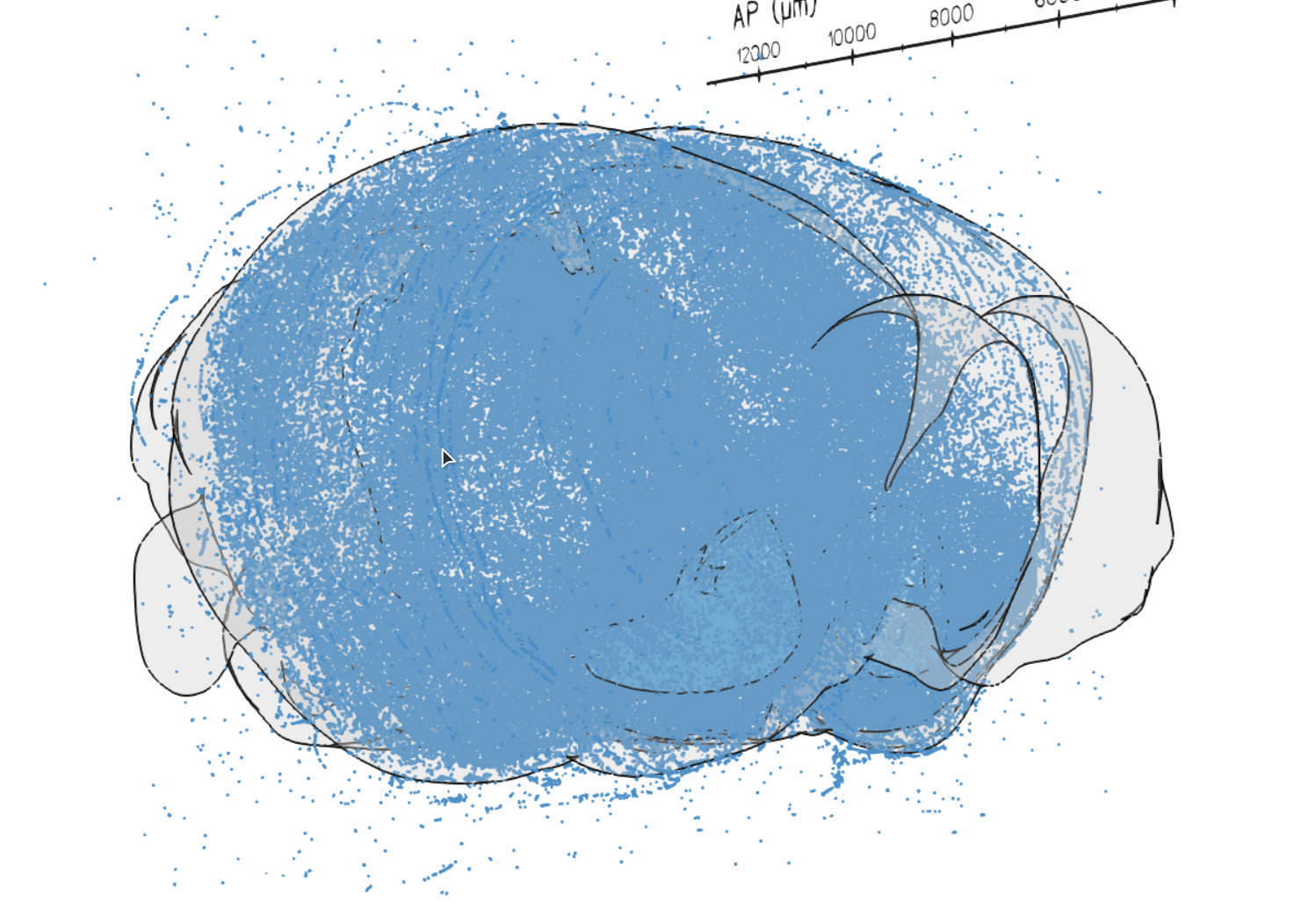 If I have all the location data array(ccf3 x,y,z) for one brain, how can i only plot one brain ...