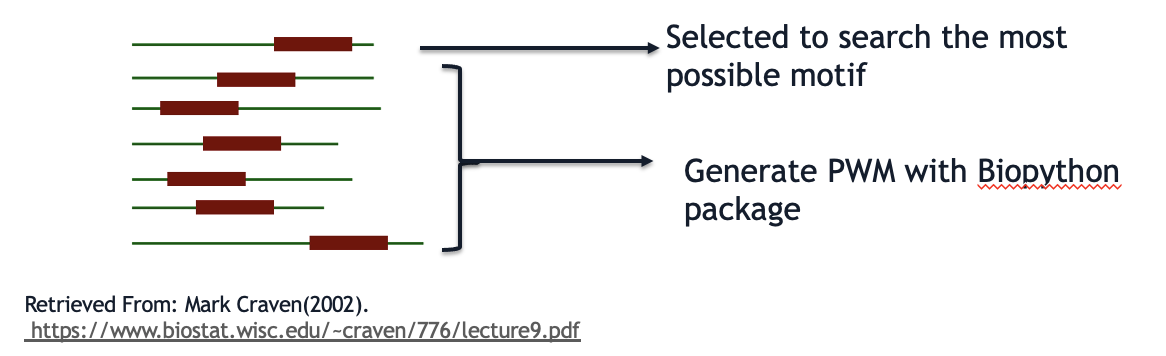 GitHub - Zhongyihhh/CS412-Gene-Mutation-Detection