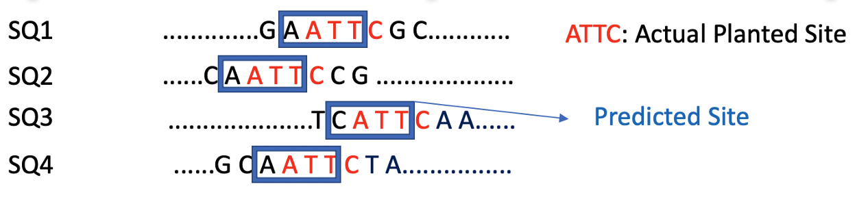 GitHub - Zhongyihhh/CS412-Gene-Mutation-Detection