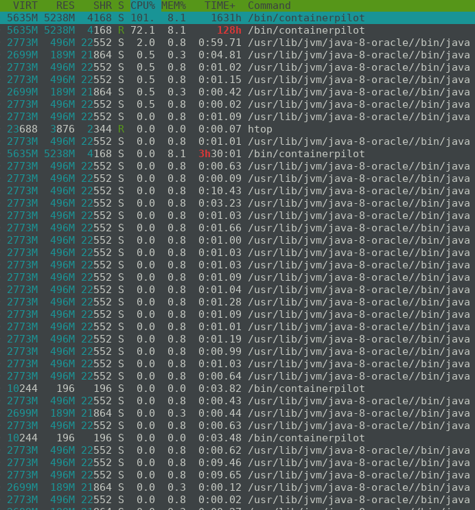 100% CPU Usage · Issue #580 · TritonDataCenter/containerpilot · GitHub