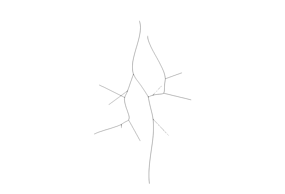 Speed up centerline extraction · Issue #963 · SimVascular/SimVascular · GitHub