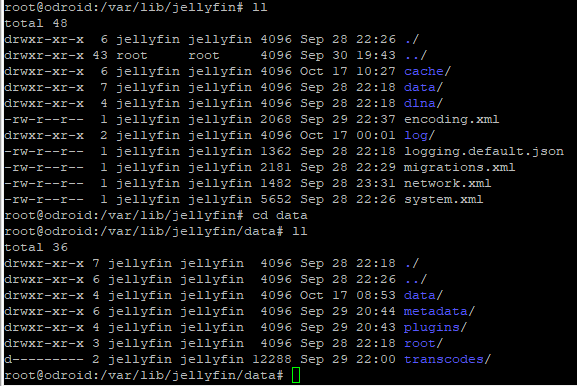 How do you completely turn off transcoding? · Issue #645 · jellyfin/jellyfin · GitHub