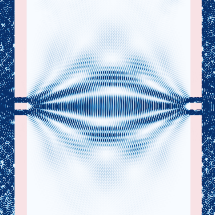 GitHub - RTU-ipasums/PhoSys