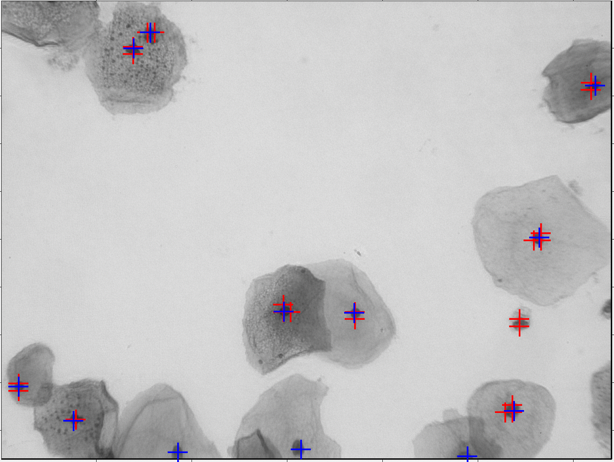 GitHub - Brittaney-Everitt/Deep_Learning_Final