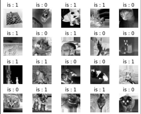GitHub - Jocraft/ANN-CNN-Difference-cats-and-dogs: a repo to show the ...