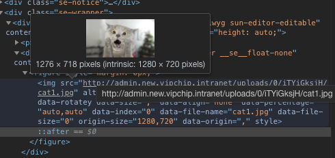 image URL address · Issue #380 · JiHong88/suneditor · GitHub
