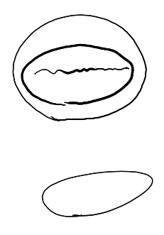 Potential directions to improve the lagging · Issue #263 · viliusle/miniPaint · GitHub