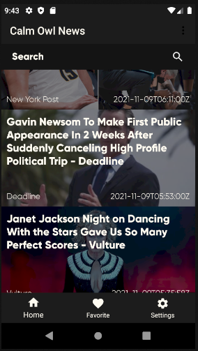 GitHub - levietanh0001/CalmOwlNewsReader