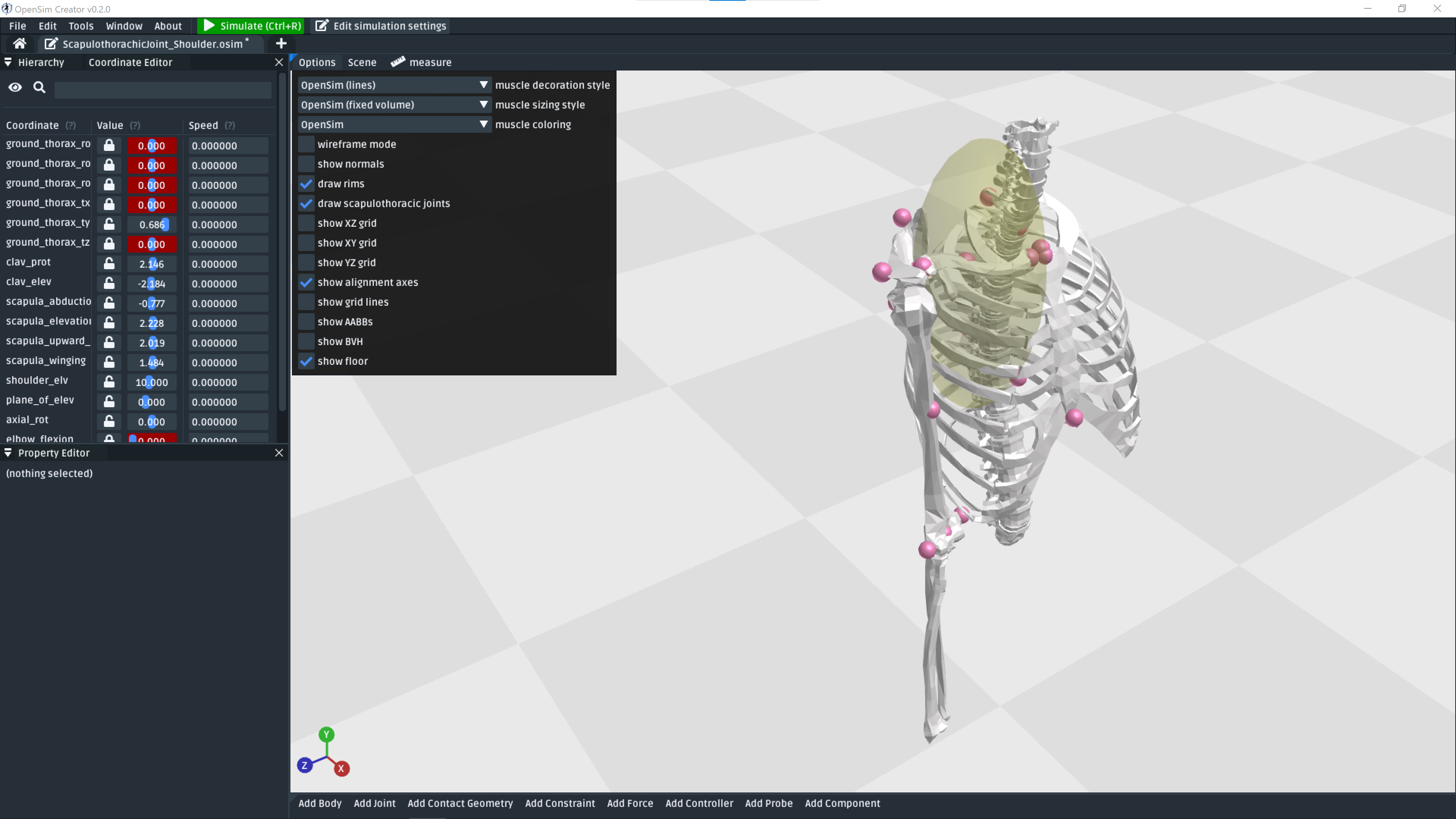 Add basic ScapulothoracicJoint support · Issue #334 · ComputationalBiomechanicsLab/opensim ...