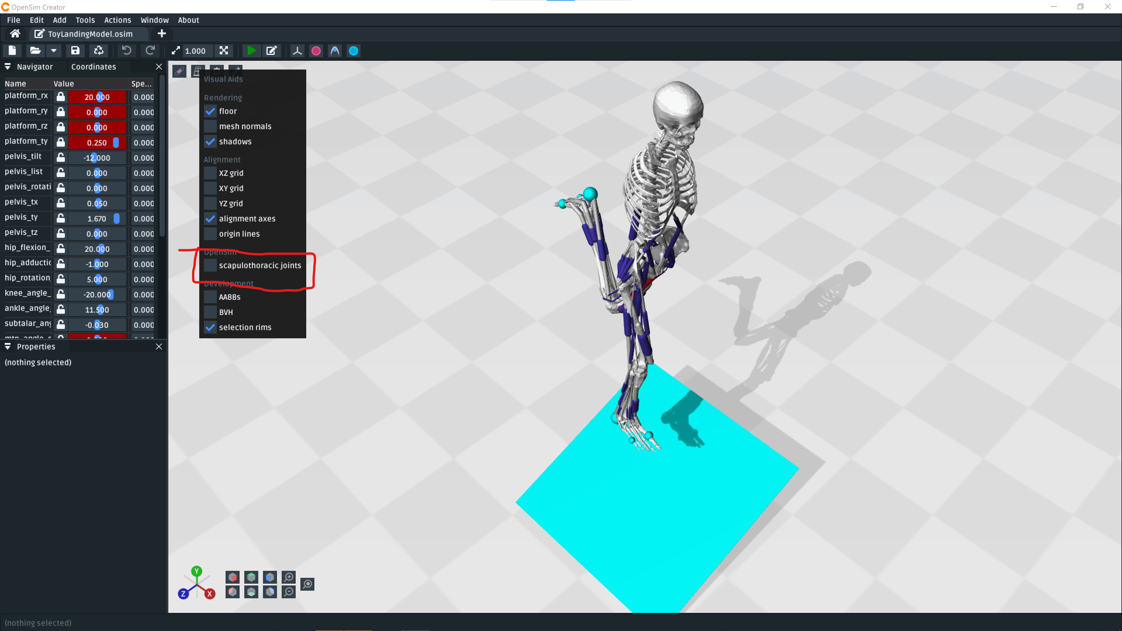 Add lines of action rendering option · Issue #562 · ComputationalBiomechanicsLab/opensim-creator ...