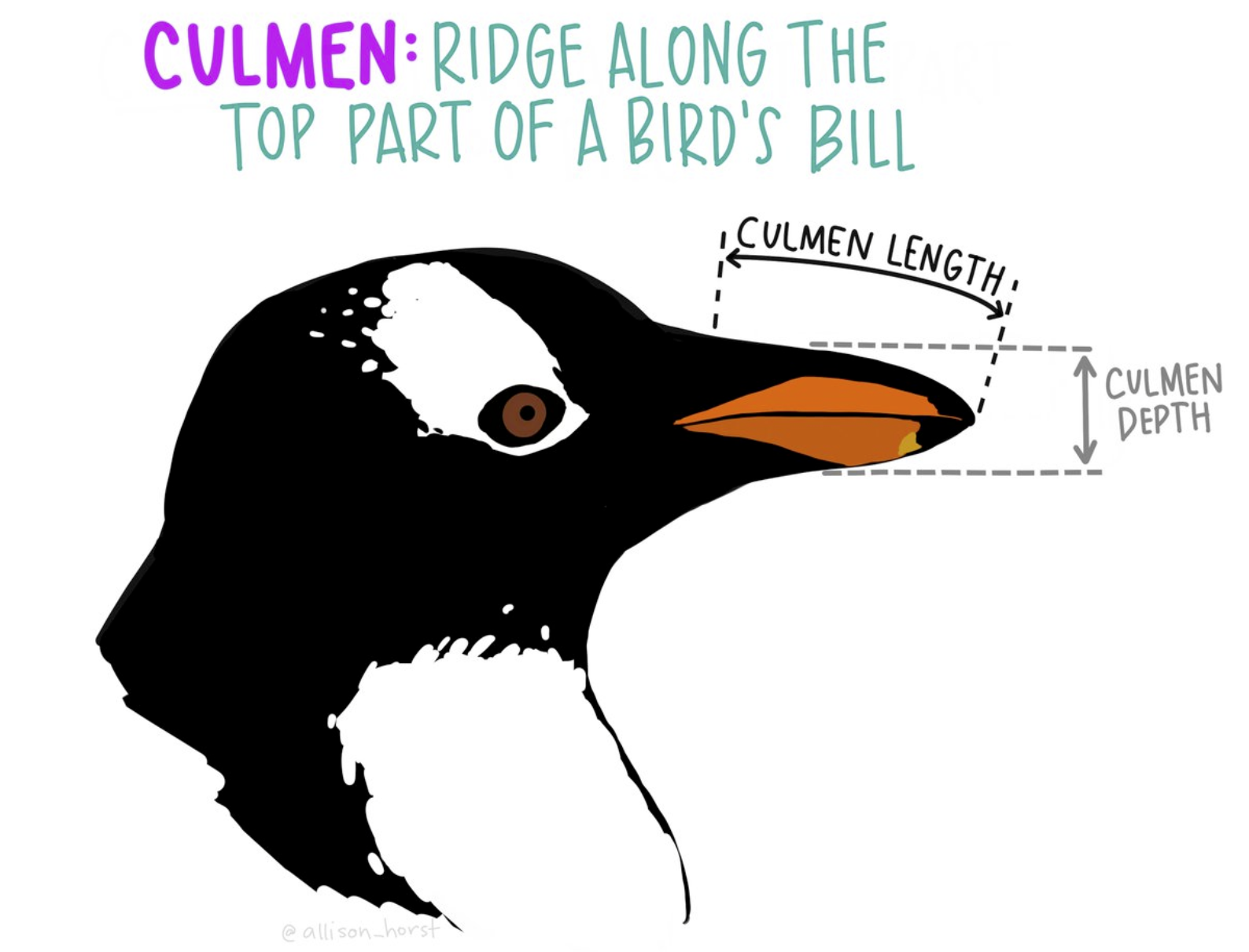 GitHub - phanee16/Penguin--Classification