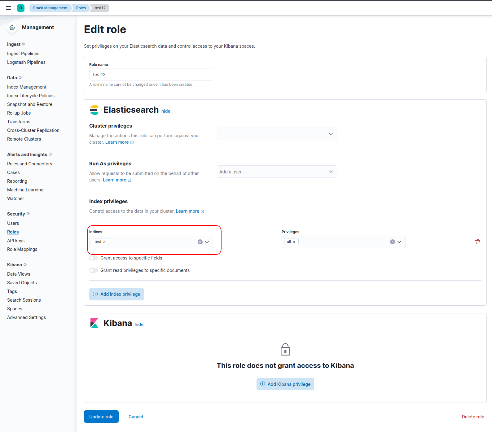 Edit Role Page Should Prevent Enter Index Patterns With Characters Not Allowed By Elasticsearch