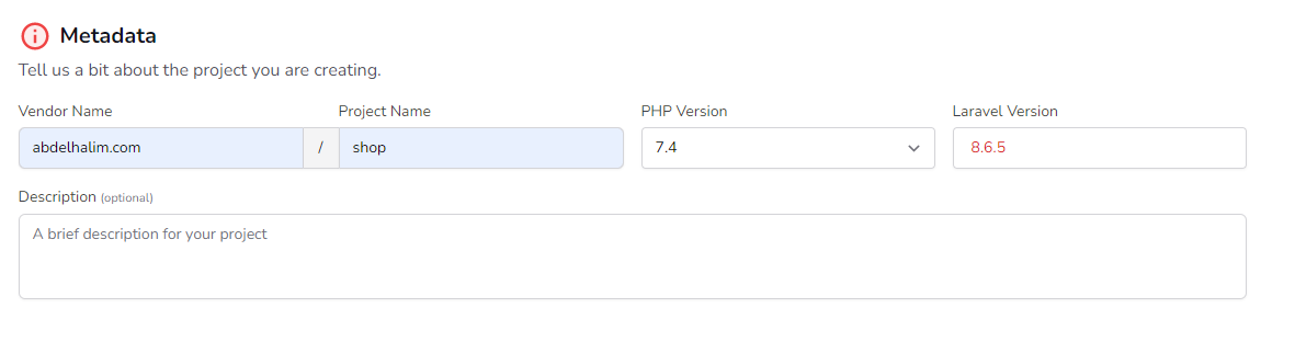 frontend · Issue #59 · NiclasvanEyk/initializer-for-laravel · GitHub