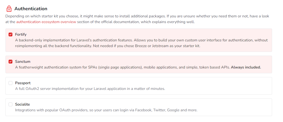 frontend · Issue #59 · NiclasvanEyk/initializer-for-laravel · GitHub
