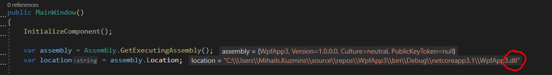 Support for .NET 5.0 single file applications · Issue #205 · ElinamLLC ...