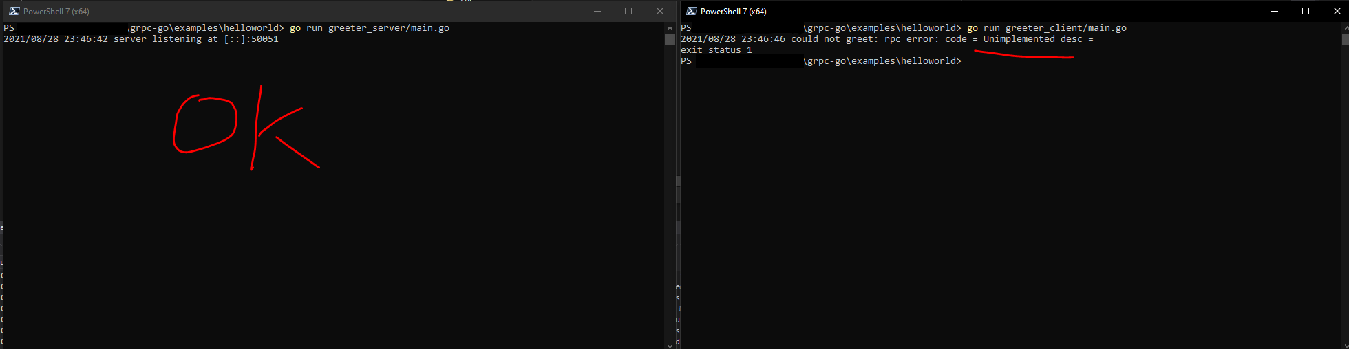 QuickStart HelloWorld does not work? · Issue #4714 · grpc/grpc-go · GitHub