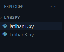 GitHub - Kikirizky30/lab2py-2