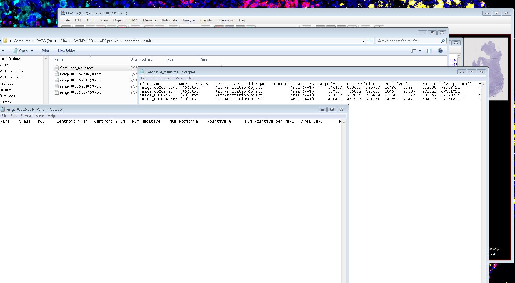 Script Runs On Single Image But Not As A Project · Issue 268 · Qupath Qupath · Github