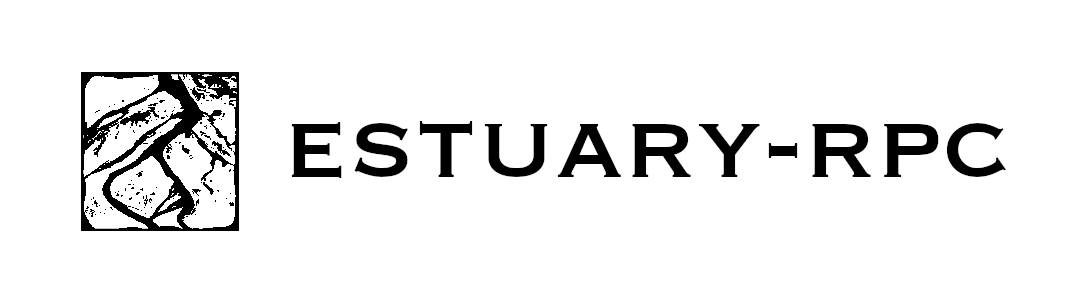 GitHub - digitaltembo/estuary-rpc: Typesafe Typescript Client/Server